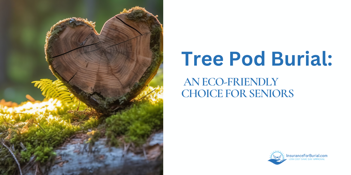 Securing Your Legacy with Tree Pod Burial: An Eco-Friendly Choice for ...